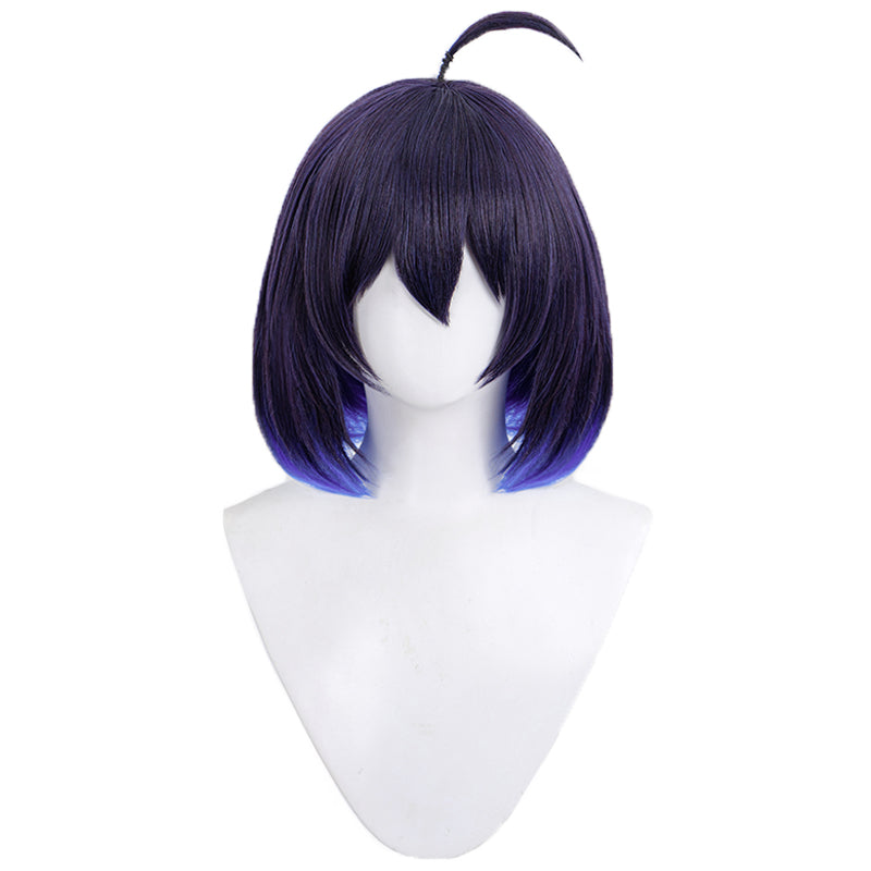 【Ready For Ship】DokiDoki Game Honkai Impact 3 Cosplay Seele Vollerei C – dokidokicosplay